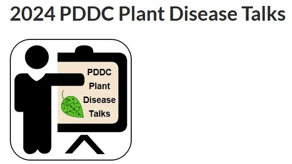 Events from October 24 – February 23, 2025 » WAA-ISA